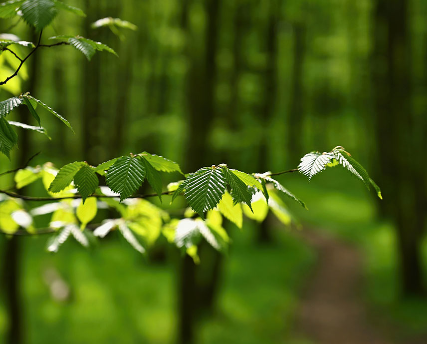 Launch of Sustainability Report 2023 | Eltwin